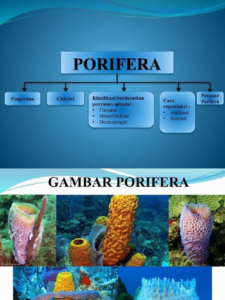 Slidesaver.app Ycwitj | PDF