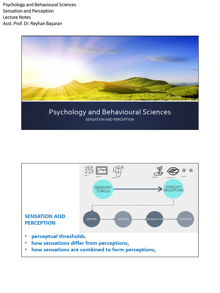Sensation and Perception Overview | PDF | Perception | Senses