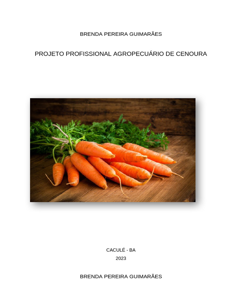 Ppa Brenda | PDF | Agricultura | Irrigação