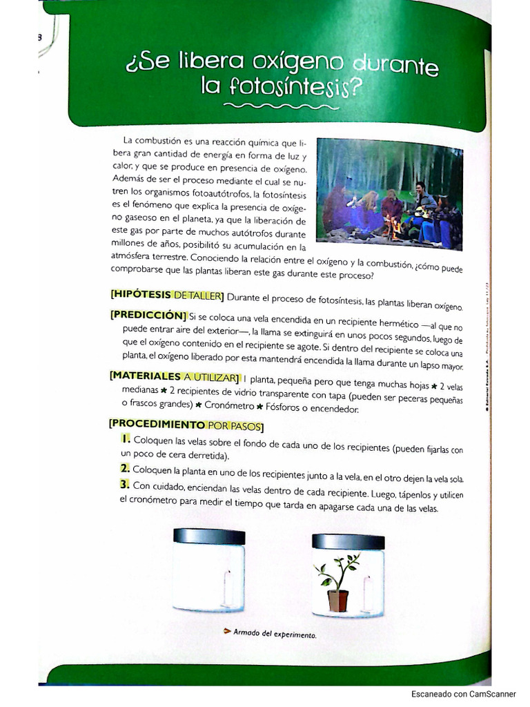 Tp Cs. Naturales- Experimento 2 | PDF