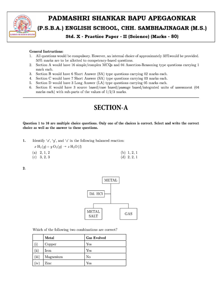 Std. X Science PP - II | PDF