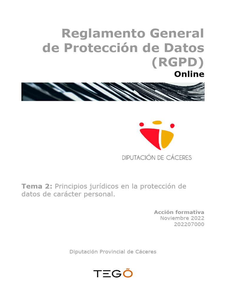 Principios del RGPD en Protección de Datos | PDF | Justicia | Crimen y ...