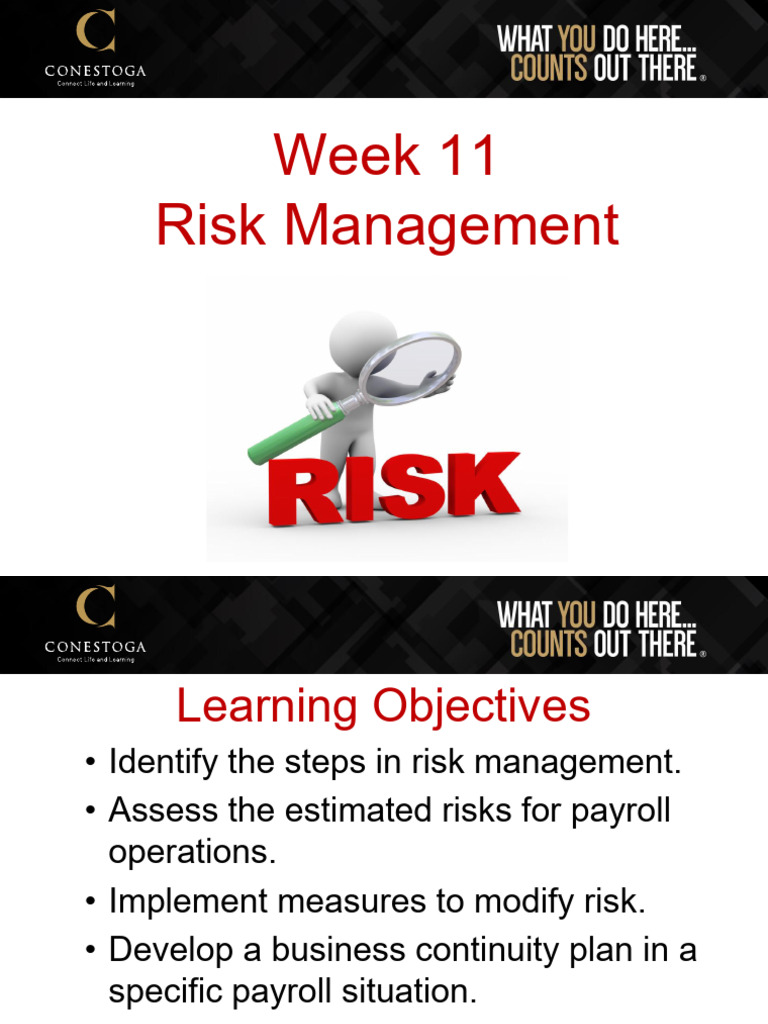 Payroll Risk Management Strategies | PDF | Risk | Risk Management