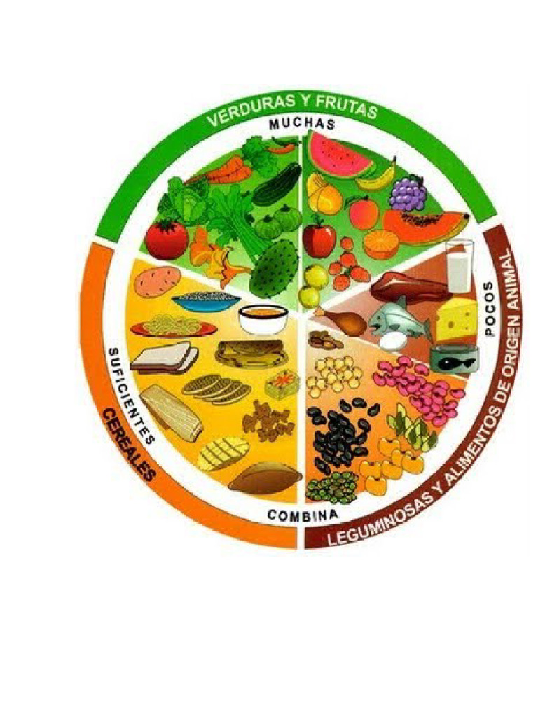 Plato Del Buen Comer 1 | PDF