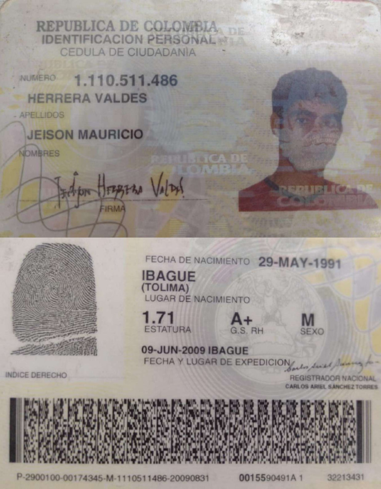 Documento de Identidad Cotizante | PDF