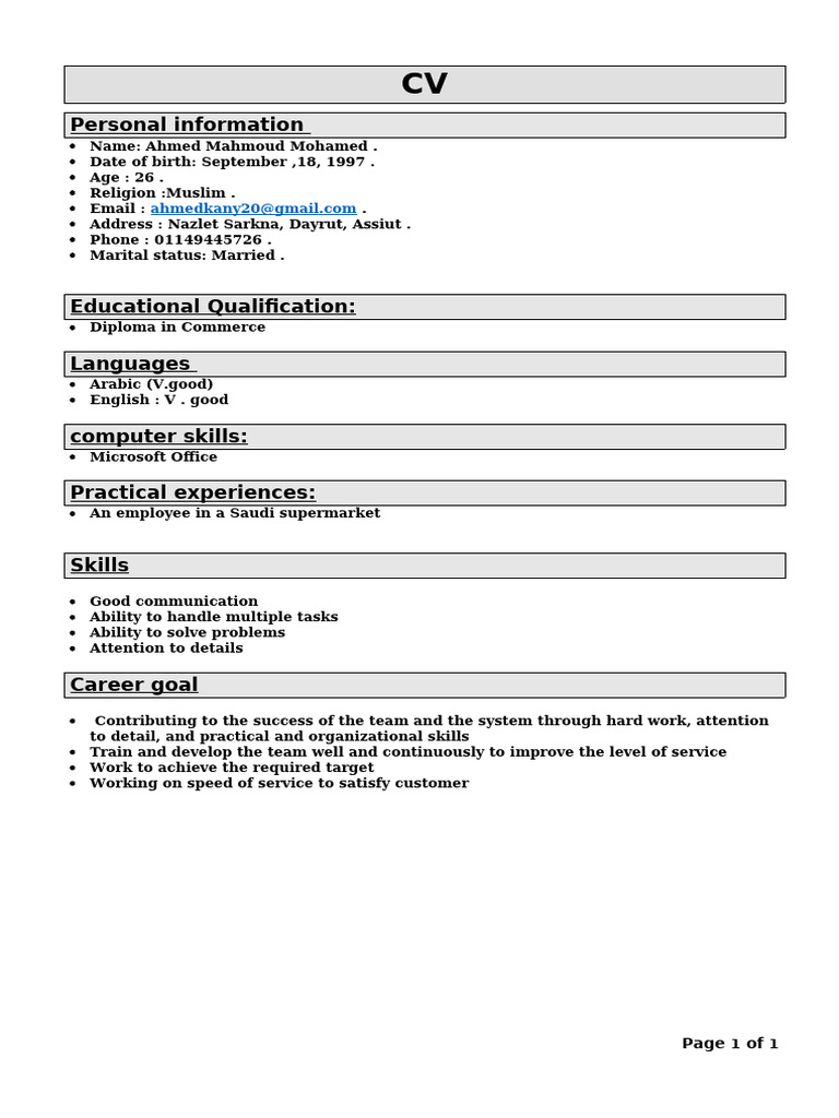 Copy of Copy of CV Engliish | PDF
