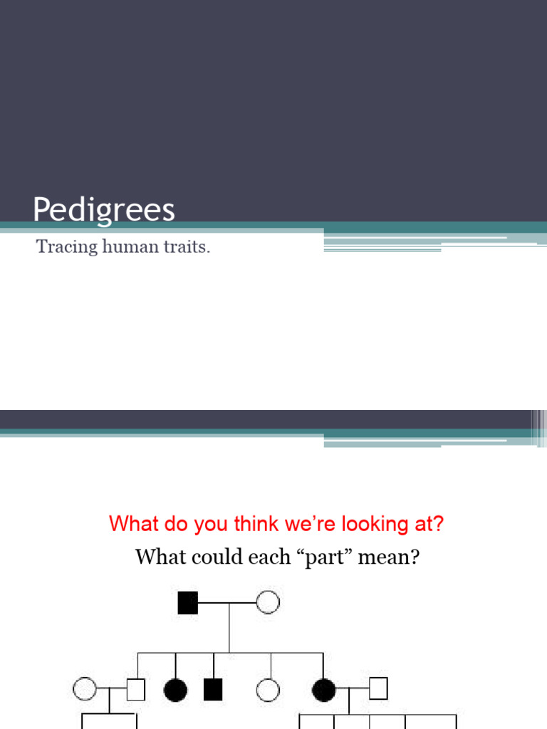 04 Pedigrees.pptx | PDF