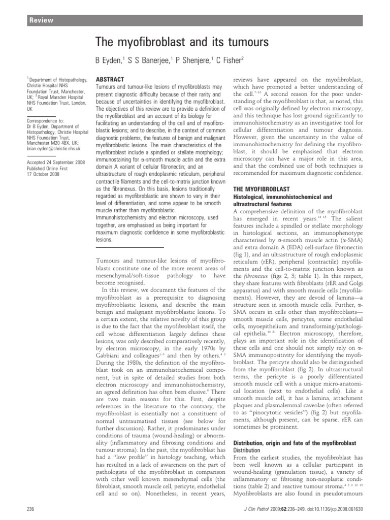 The Myofibroblast and Its Tumours | PDF | Extracellular Matrix ...