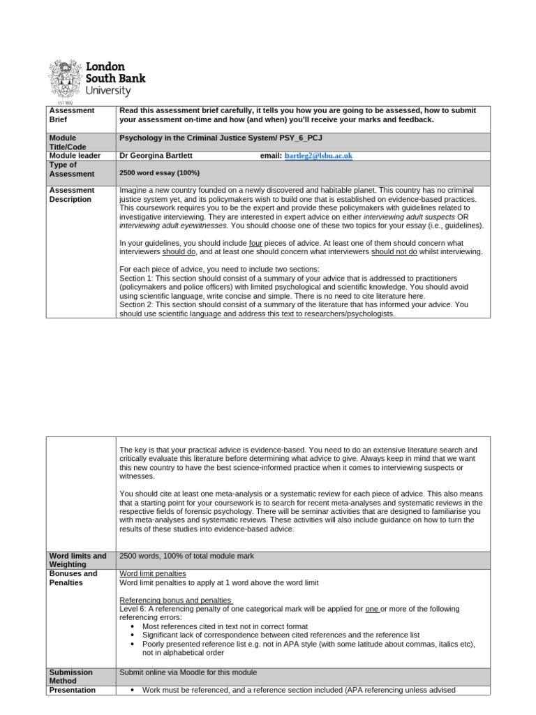 Assessment brief_PSY_6_PCJ_25-26 | PDF | Meta Analysis | Psychology