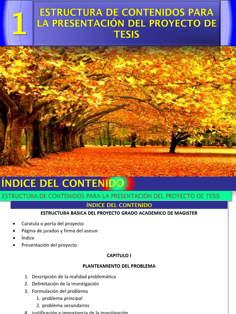 01 Estructura de Contenidos Para La Presentación Del Proyecto | PDF | Teoría | Conocimiento