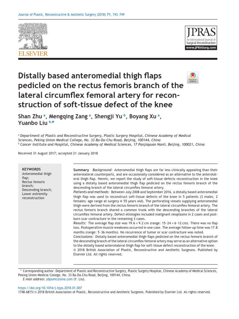 Anteromedial Thigh Flaps for Knee Reconstruction | PDF | Anatomical ...