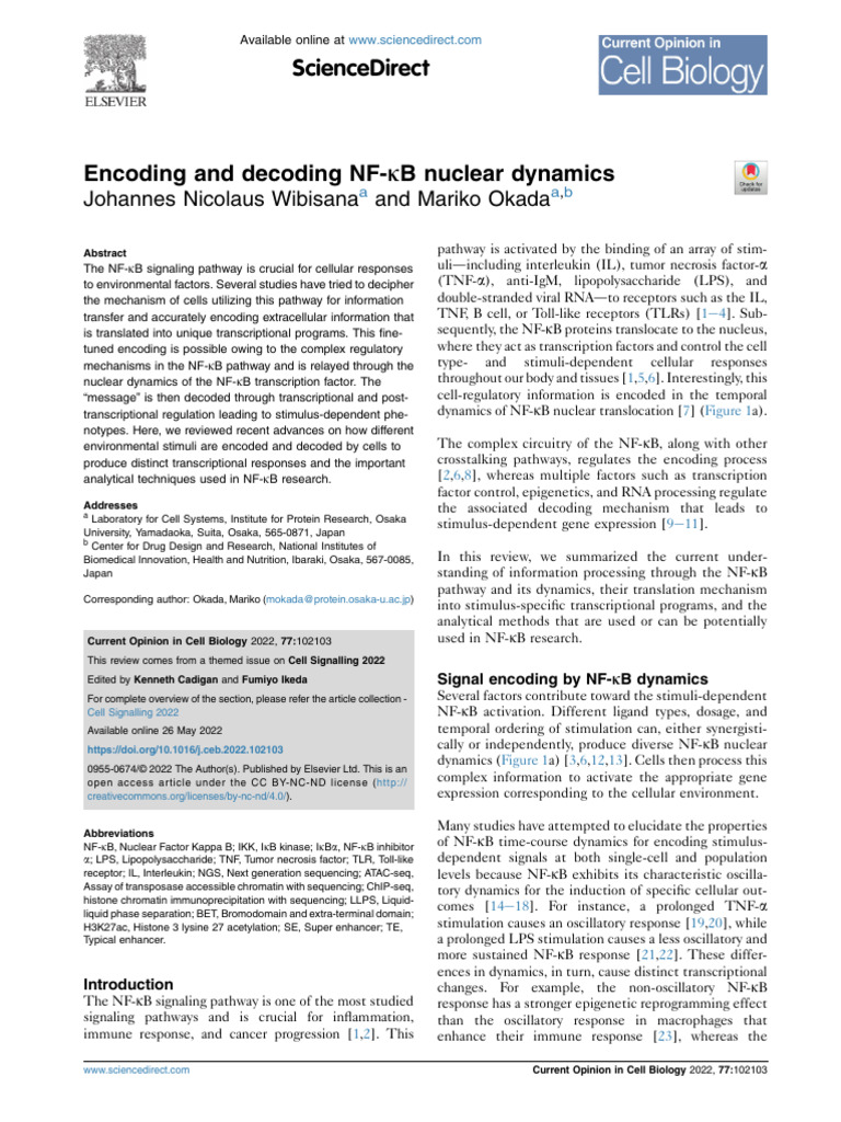 NF-kB Dynamics in Signal Processing | PDF | Nf κb | Regulation Of Gene ...