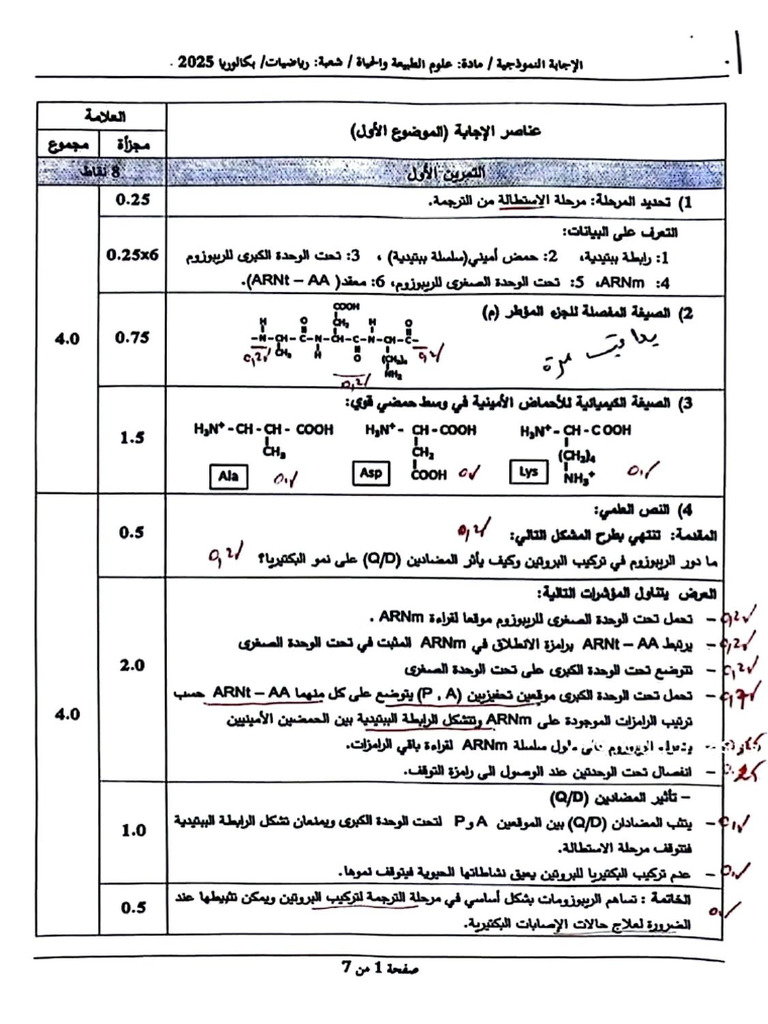Correction Bac Math Science 2025 | PDF