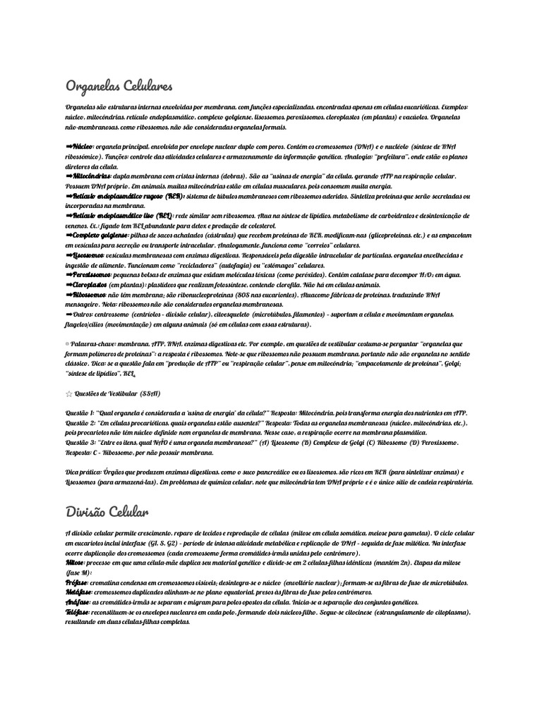 Biologia- Revisão Para a Final | PDF | Meiose | Mitose