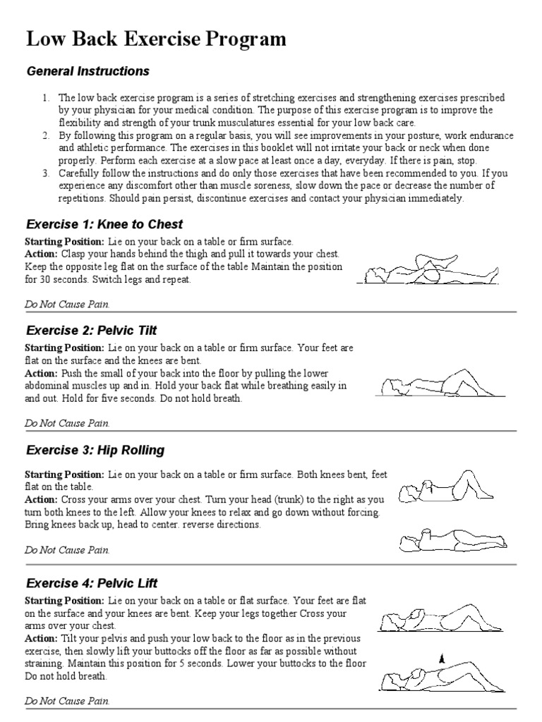 Low Back Exercise Program | PDF | Anatomical Terms Of Motion | Primate ...