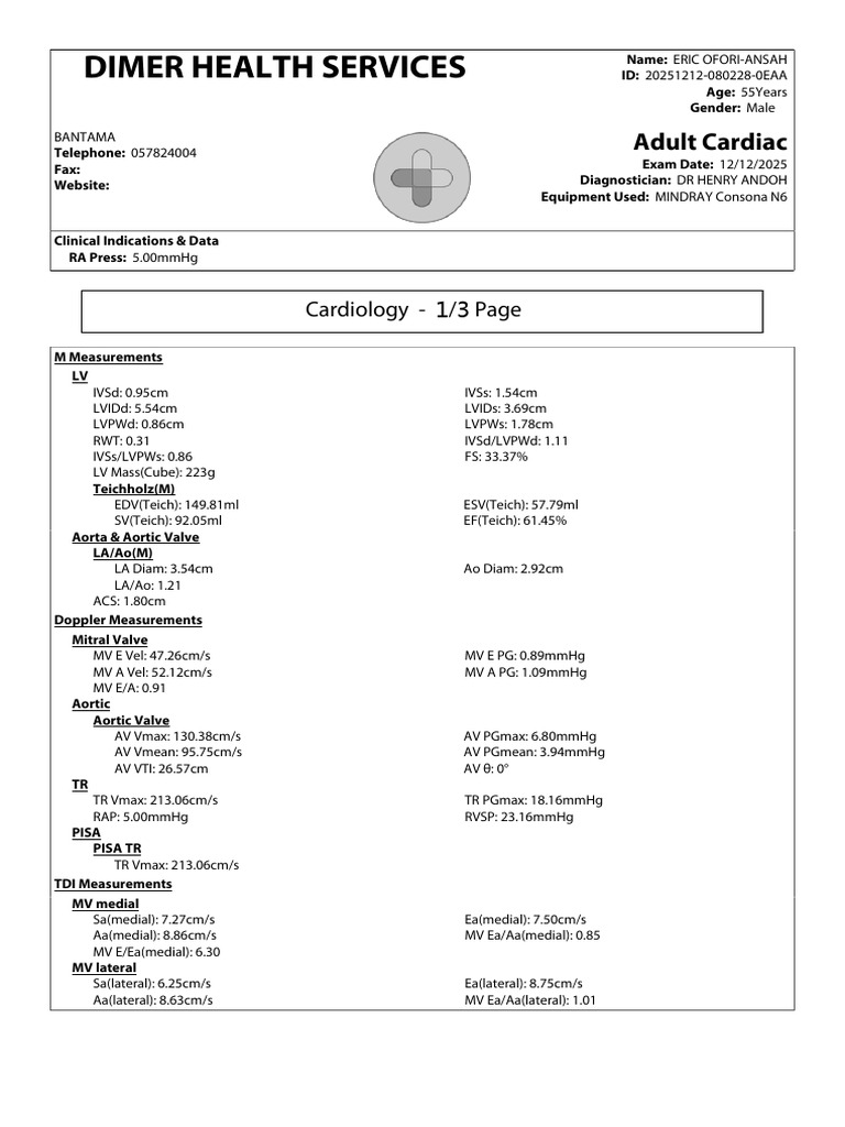 Normal Echocardiogram Report for Eric Ofori-Ansah | PDF | Ventricle ...