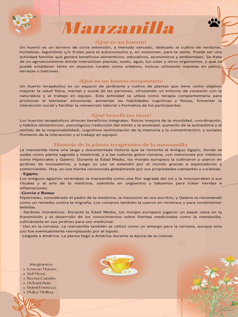 Cream Brown Aesthetic Cute Minimalist Phone Wallpaper (1) | PDF | Huerta