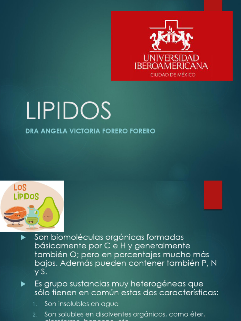 Funciones y Clasificación de Lípidos | PDF | Lípido | Ácido graso