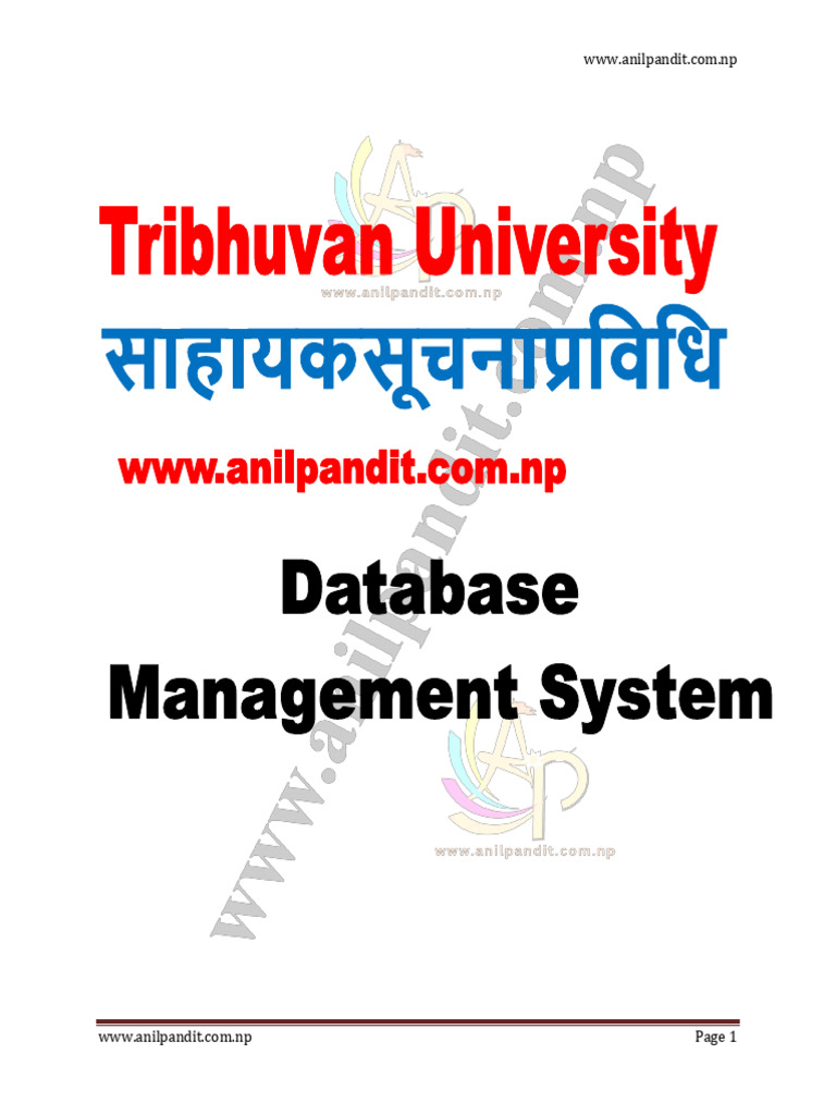 Database Management System | PDF | Relational Database | Databases