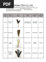 Ballet Dancer Ranks Explained | PDF | Dances | Ballet