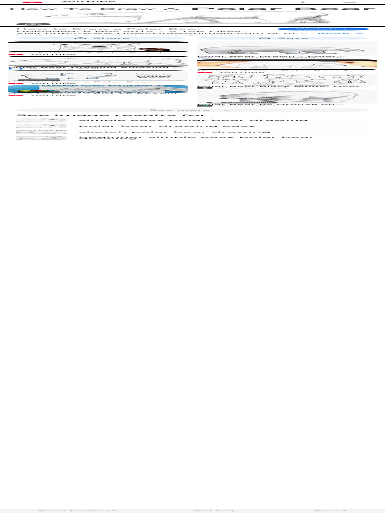 Easy Animal Polar Bear Pencil Drawing - Google Search | PDF