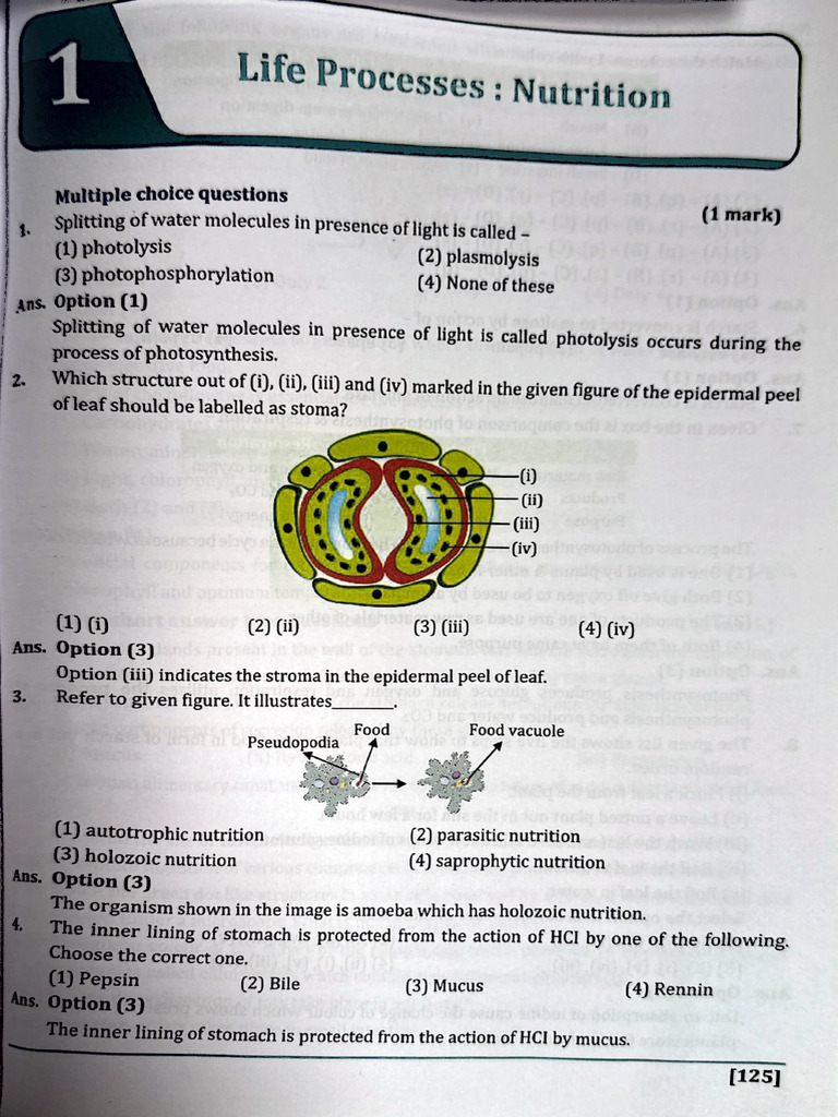 Life Process | PDF