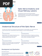 Optic Foramen Radiographic Overview | PDF