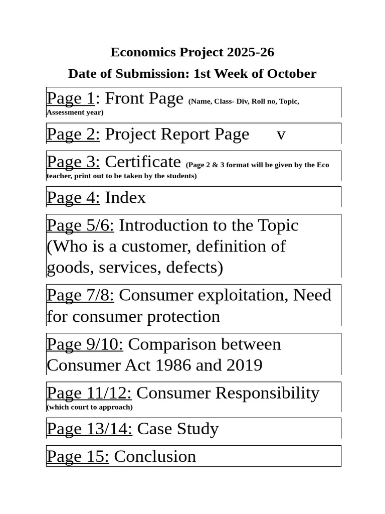 Economics Project Guidelines 2025-26 | PDF