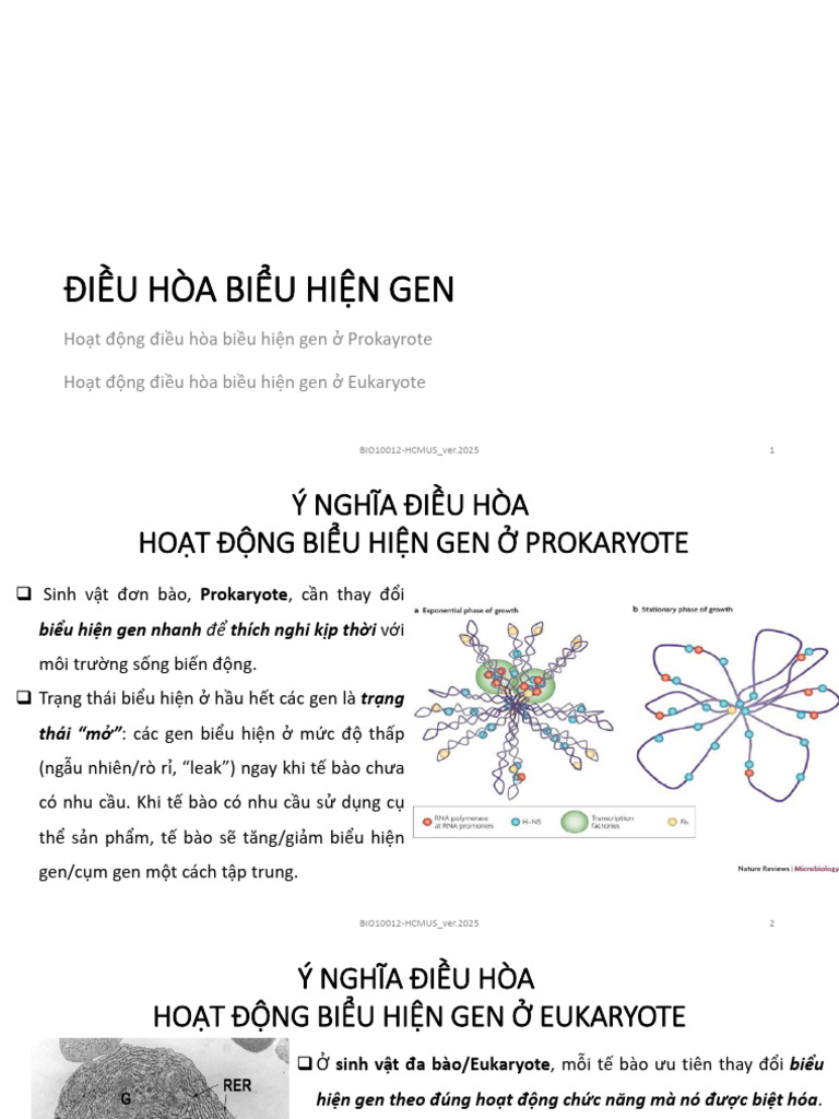 5. Dieu hoa bieu hien gen SHPT | PDF