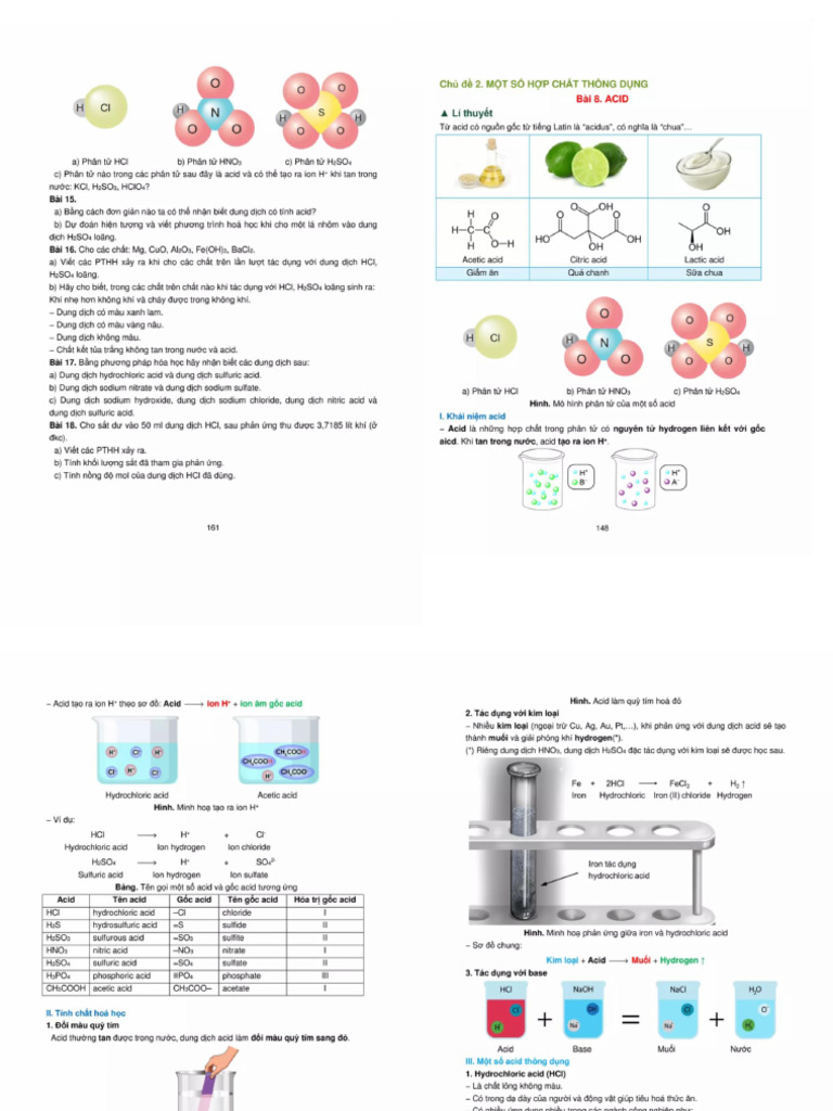 hóa 8 lt bt acid | PDF