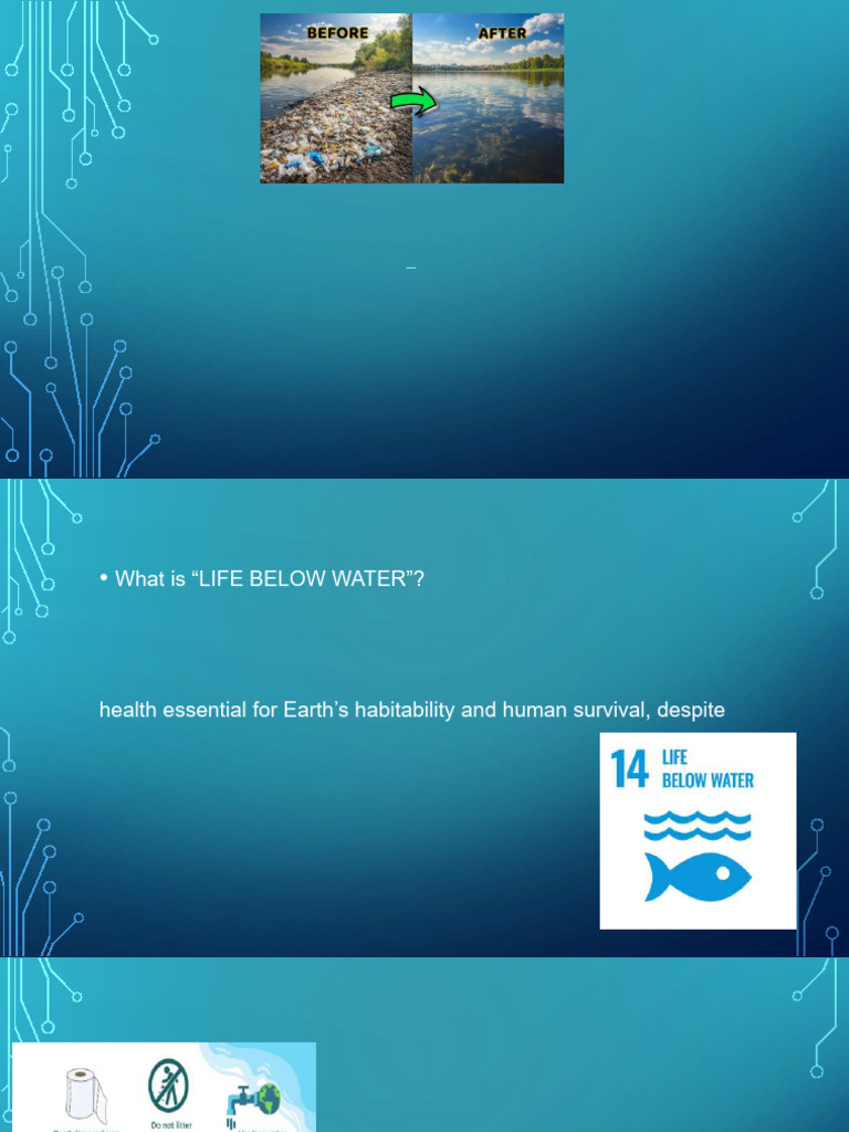 DJHSM_Atomic Architects_ Life Below Water | PDF