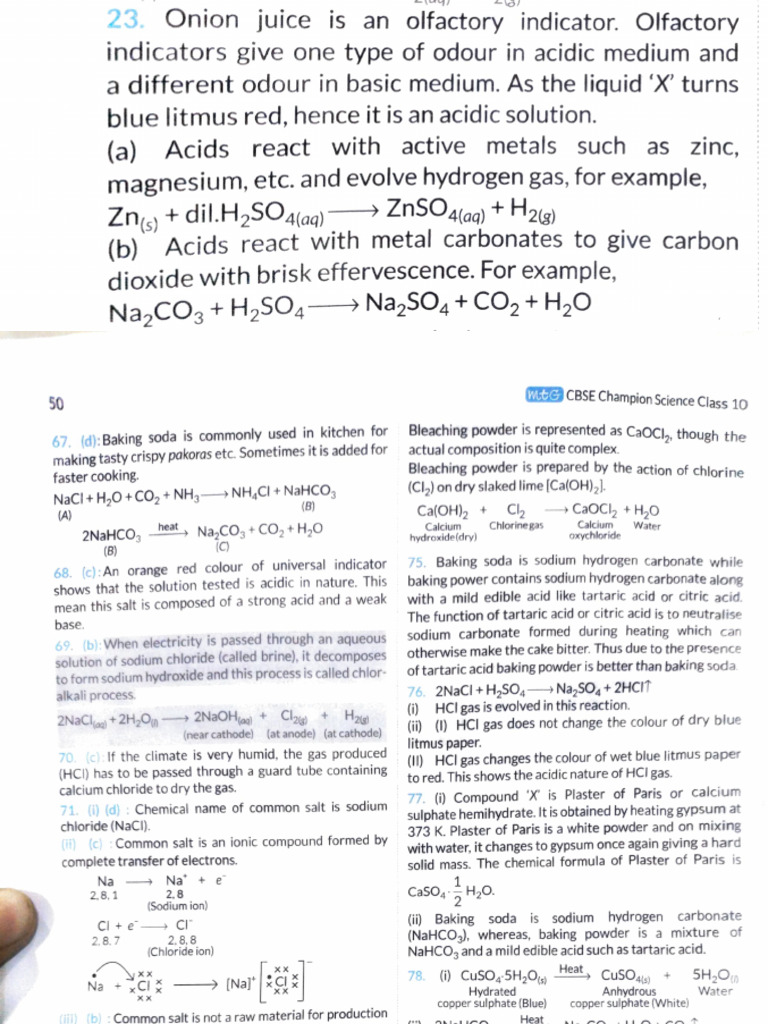Chapter -2 Answers | PDF