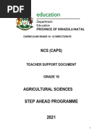 2025 Grade 9 Natural Sciences Plans | PDF | Voltage | Chemical Reactions