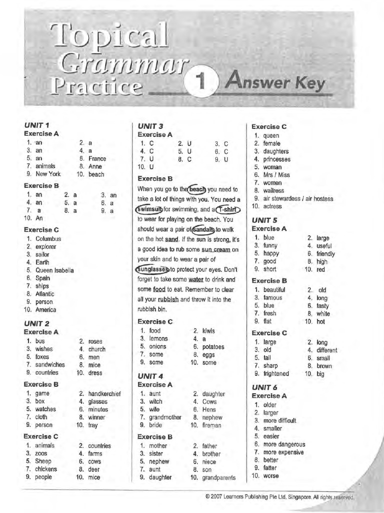 Practice Topical Grammar | PDF | Foods