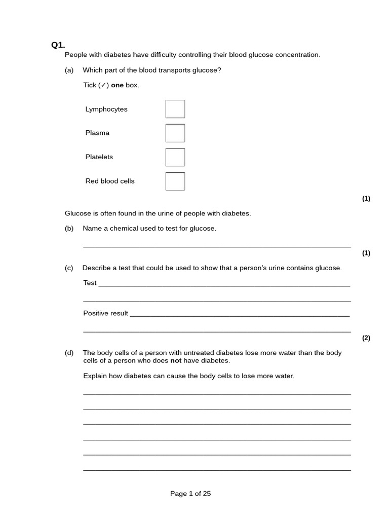 B3 Exam Questions | PDF | Digestion | Glucose
