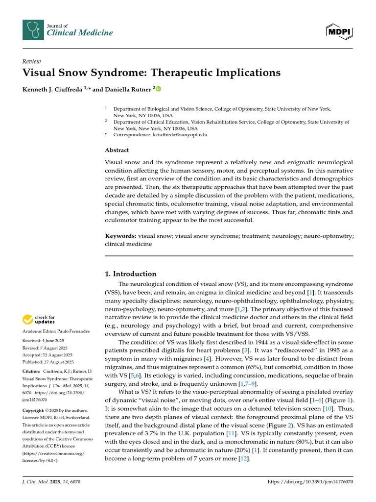 Visual Snow Syndrome Therapeutic Implications | PDF | Perception ...