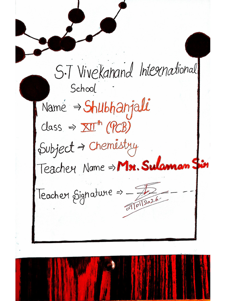 Class - 12 Chemistry Project File 2025-26 | PDF