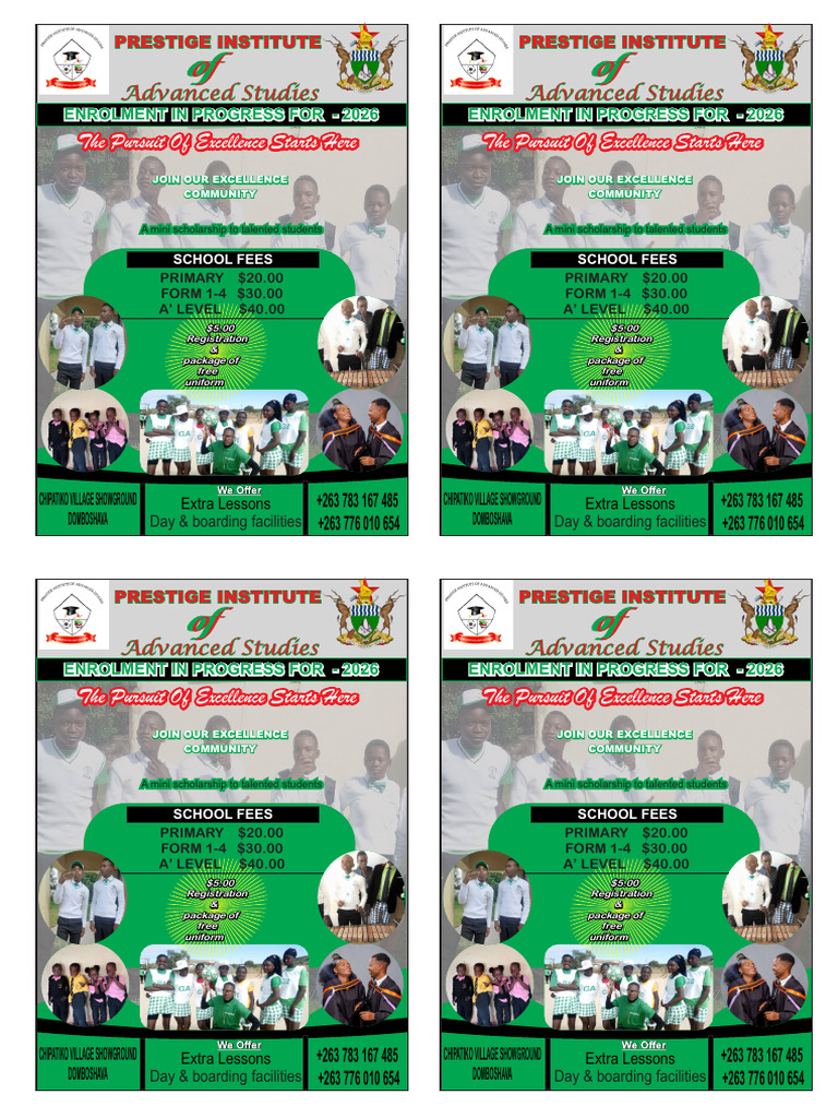 Chamisa Pias Flier New Dsn | PDF