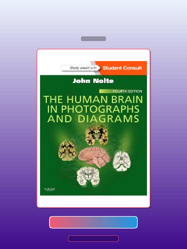 Test Bank for the Human Brain in Photographs and Diagrams 4th Edition ...