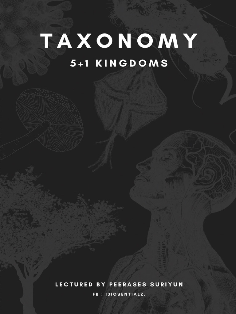 Conclusion of 5+1 Kingdoms | PDF