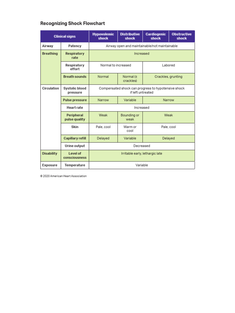 PALS Recognition of Shock Flowchart 1 | PDF