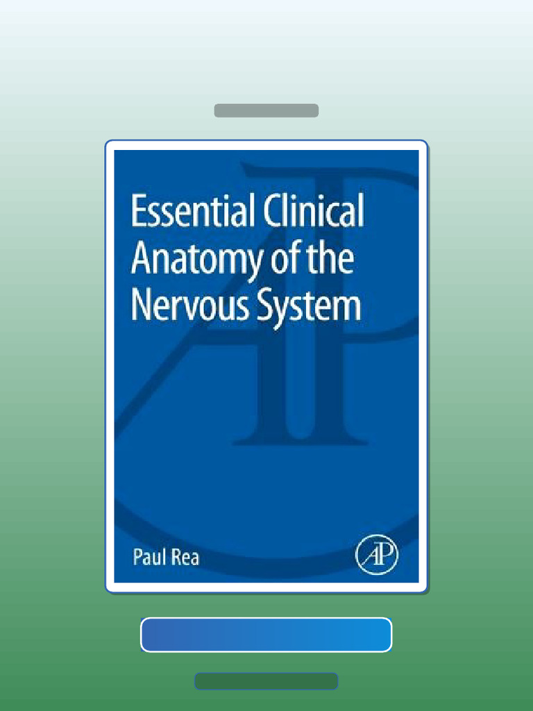 Test Bank for Essential Clinical Anatomy of the Nervous System | PDF ...