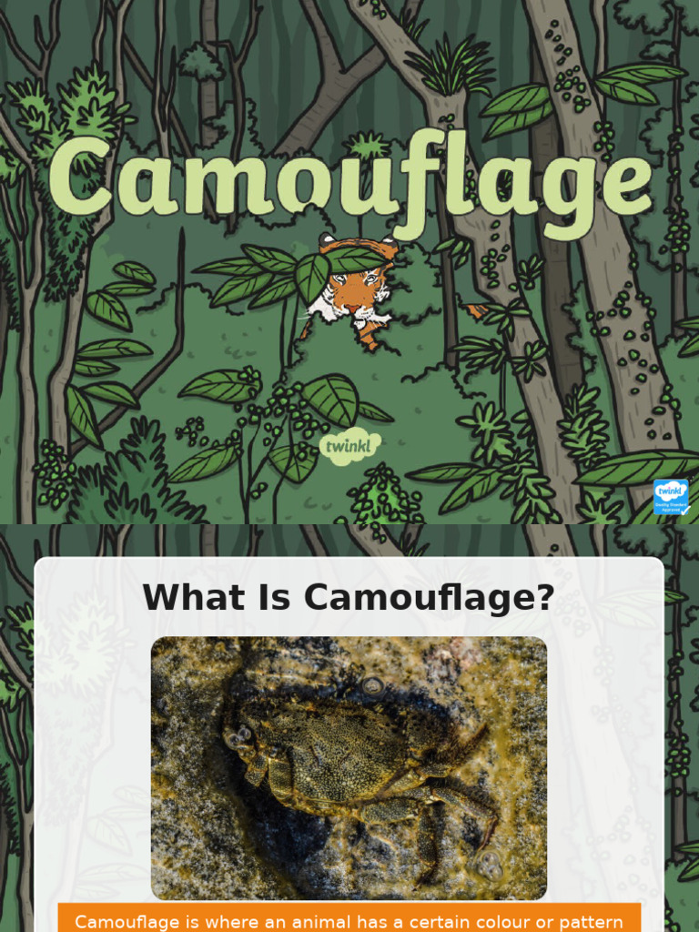 Understanding Animal Camouflage Techniques | PDF | Camouflage | Mimicry