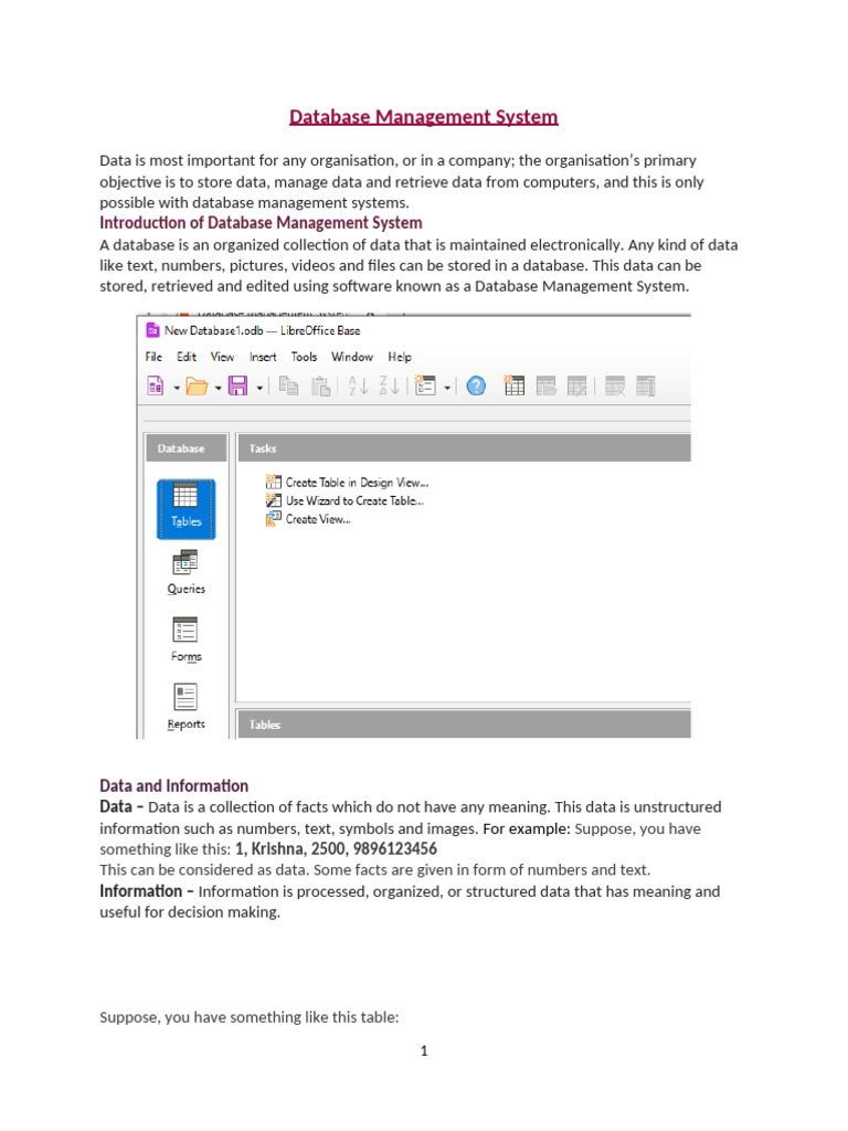 Understanding Database Management Systems | PDF | Relational Database ...