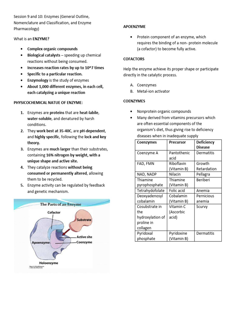 Session 9 and 10 Biochem | PDF | Cofactor (Biochemistry) | Enzyme