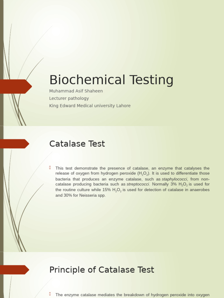 Biochemical Tests for Bacterial Identification | PDF | Catalase