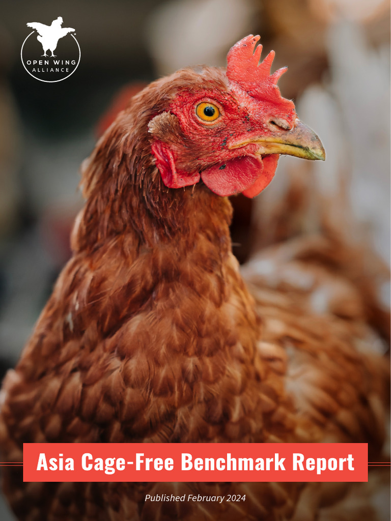 Asia Cage-Free Benchmark - Full Report | PDF | Animal Welfare | Chicken