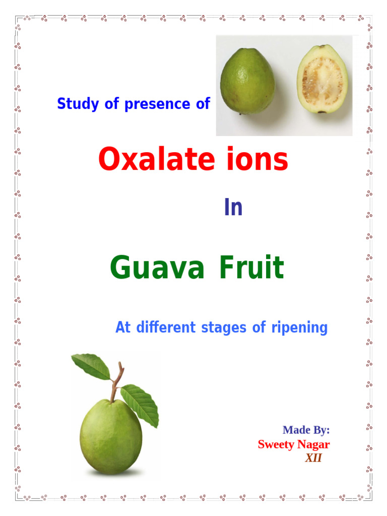 Oxalate Ion Levels in Ripening Guava | PDF | Trees | Titration