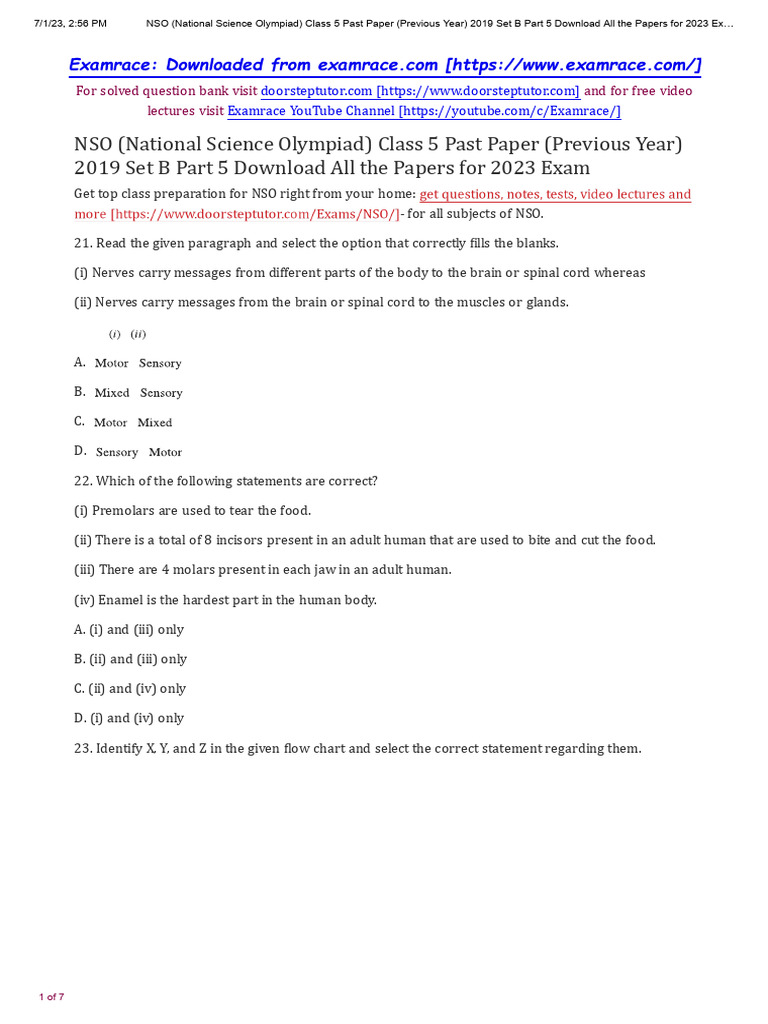 NSO Level 1 Class 5 Question Paper 2019 Set B Part 5 | PDF | Human ...