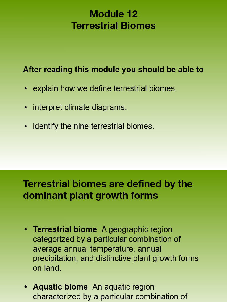 Overview of Terrestrial Biomes | PDF | Forests | Lake